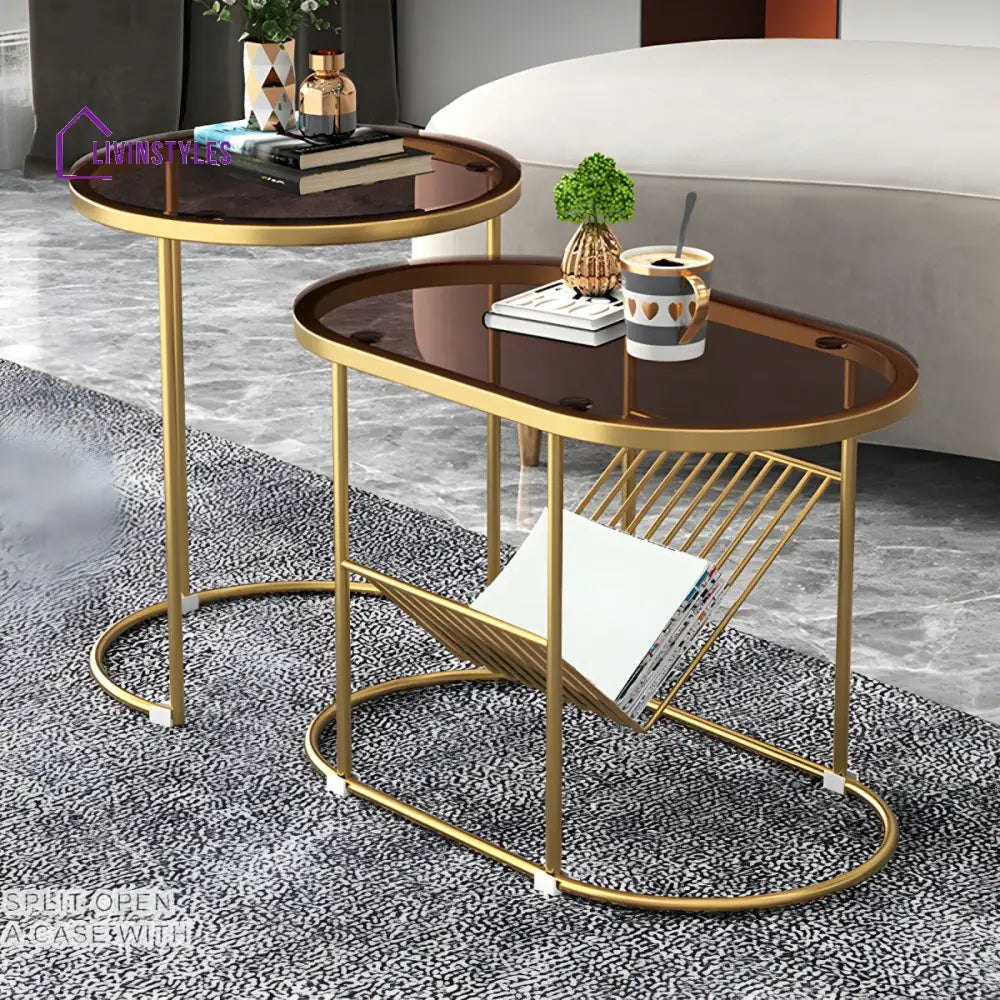 Anaya Side Table for Living Room – LivIn Styles