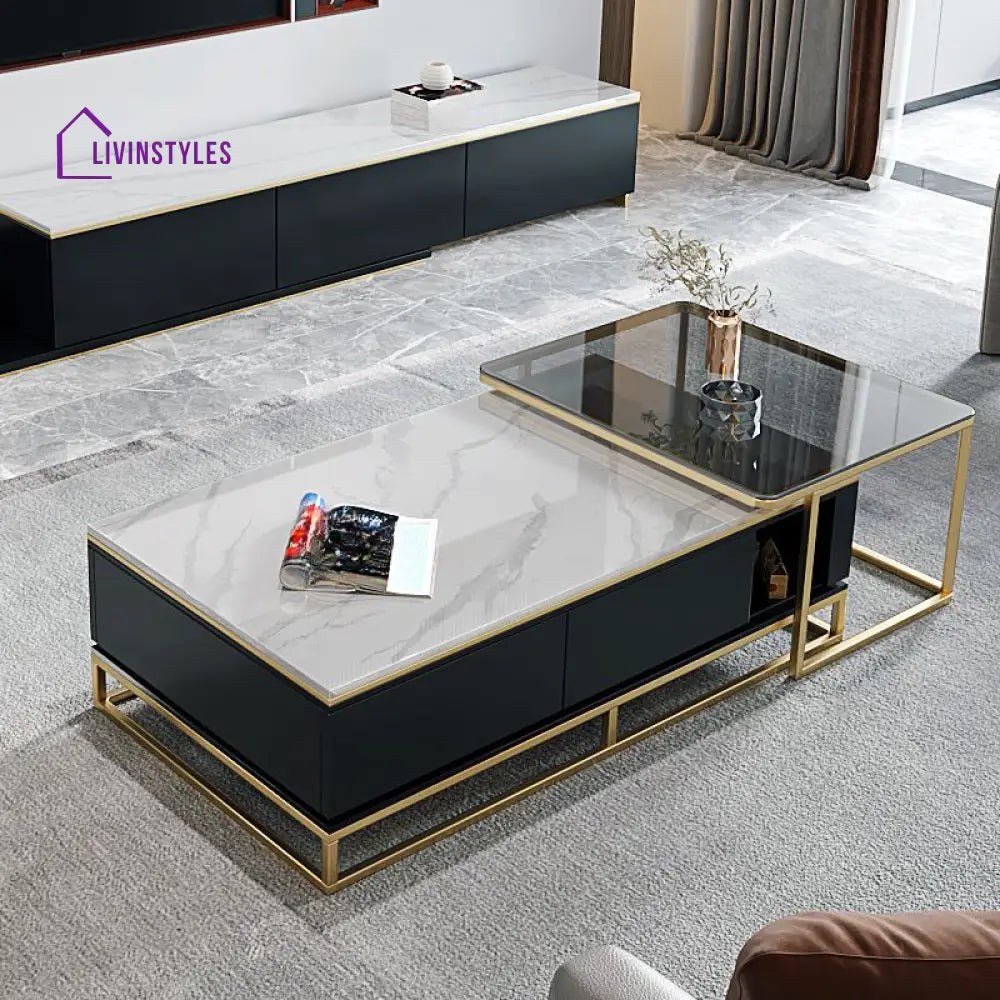Vanya Stainless Steel Frame with Marble Top and Glass Top Coffee Table ...